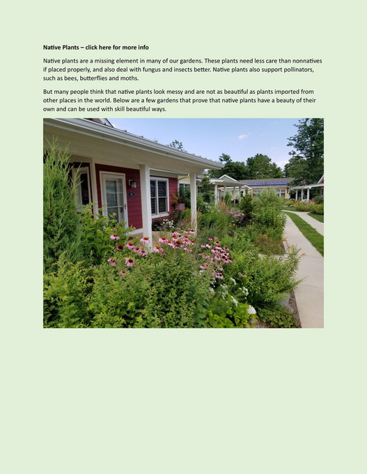 Sunny Meadows - Summary of Landscape Design Concepts - Page 1 - Created ...
