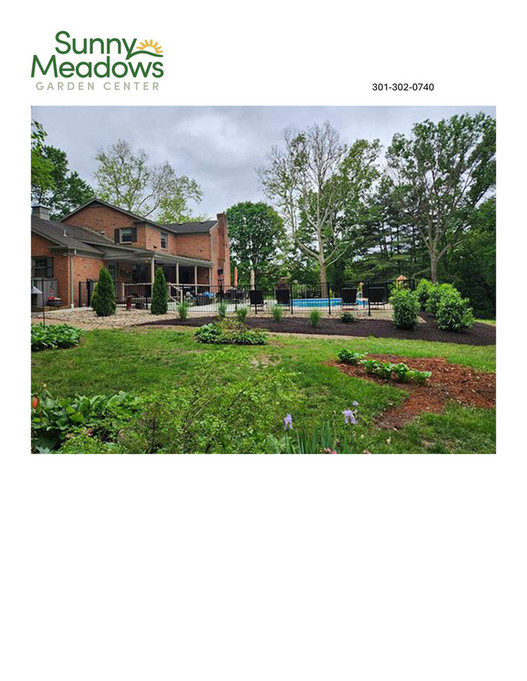 Sunny Meadows - Customer Spotlight - Page 1 - Created with Publitas.com