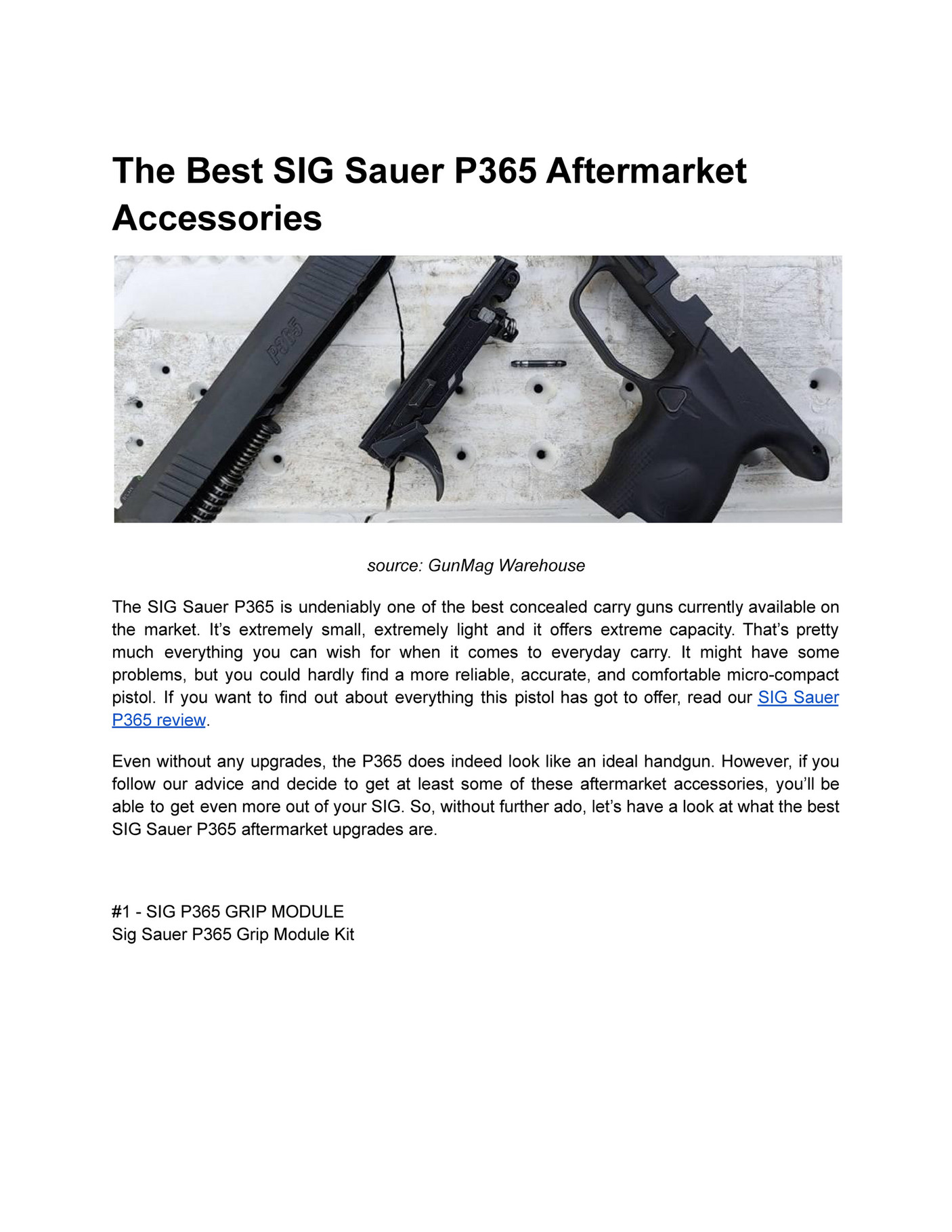 The Best SIG Sauer P365 Aftermarket Accessories - Page 1 - Created with ...