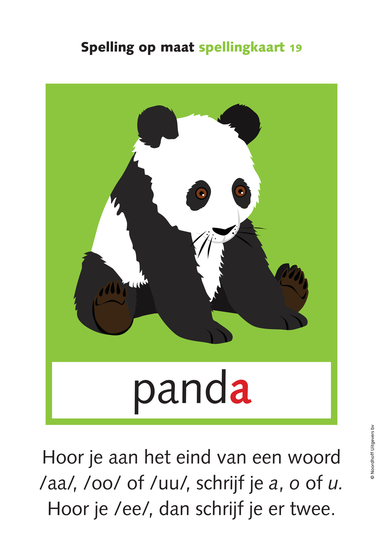 groep5 :: groep5pcbsmozaiek