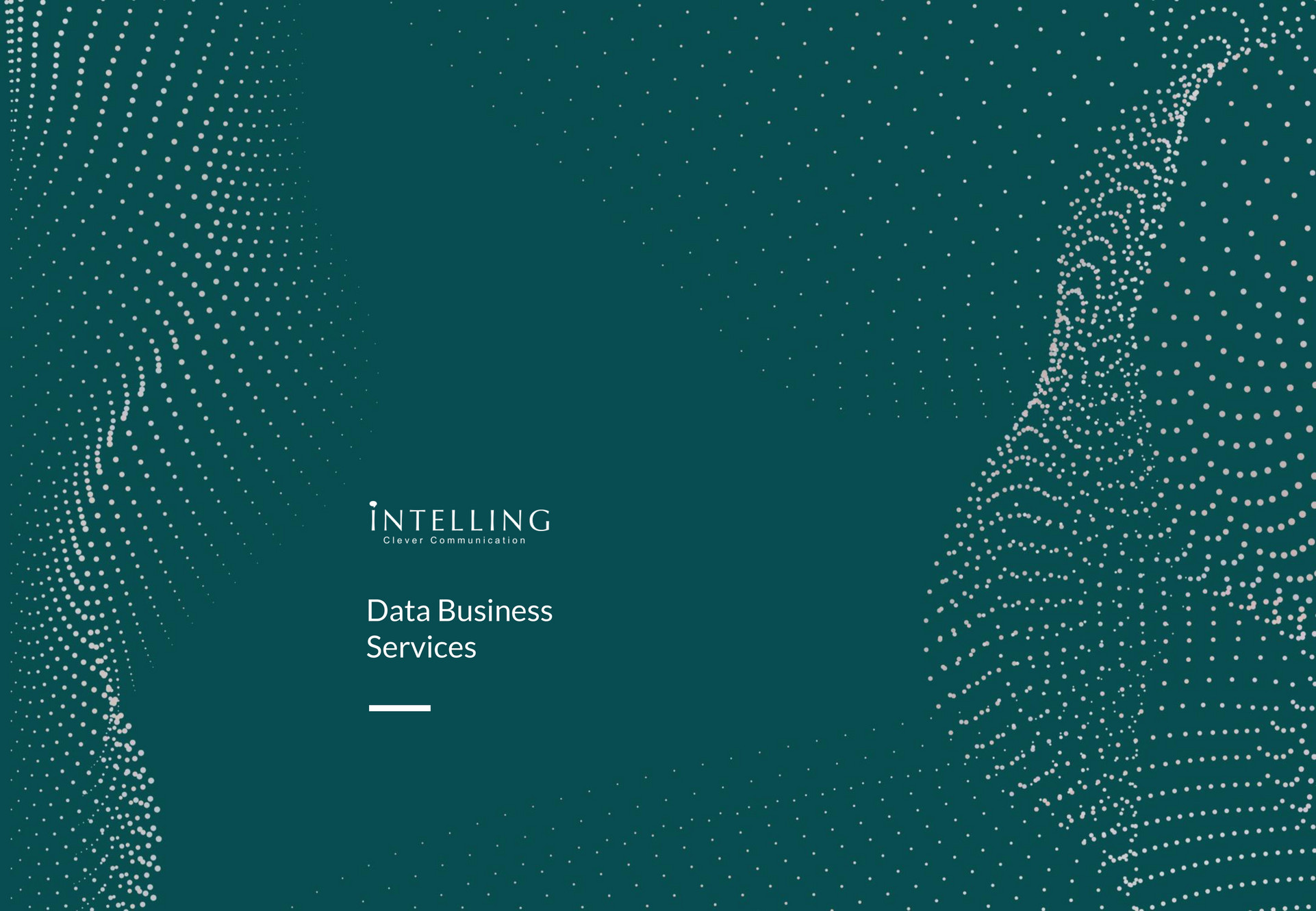 DataInformation - Intelling Data Business Overview - Page 1 - Created ...