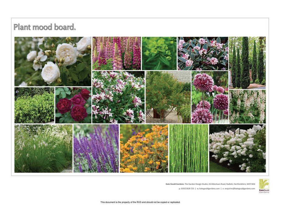 RHS - RHS Example Design Proposal - Page 5