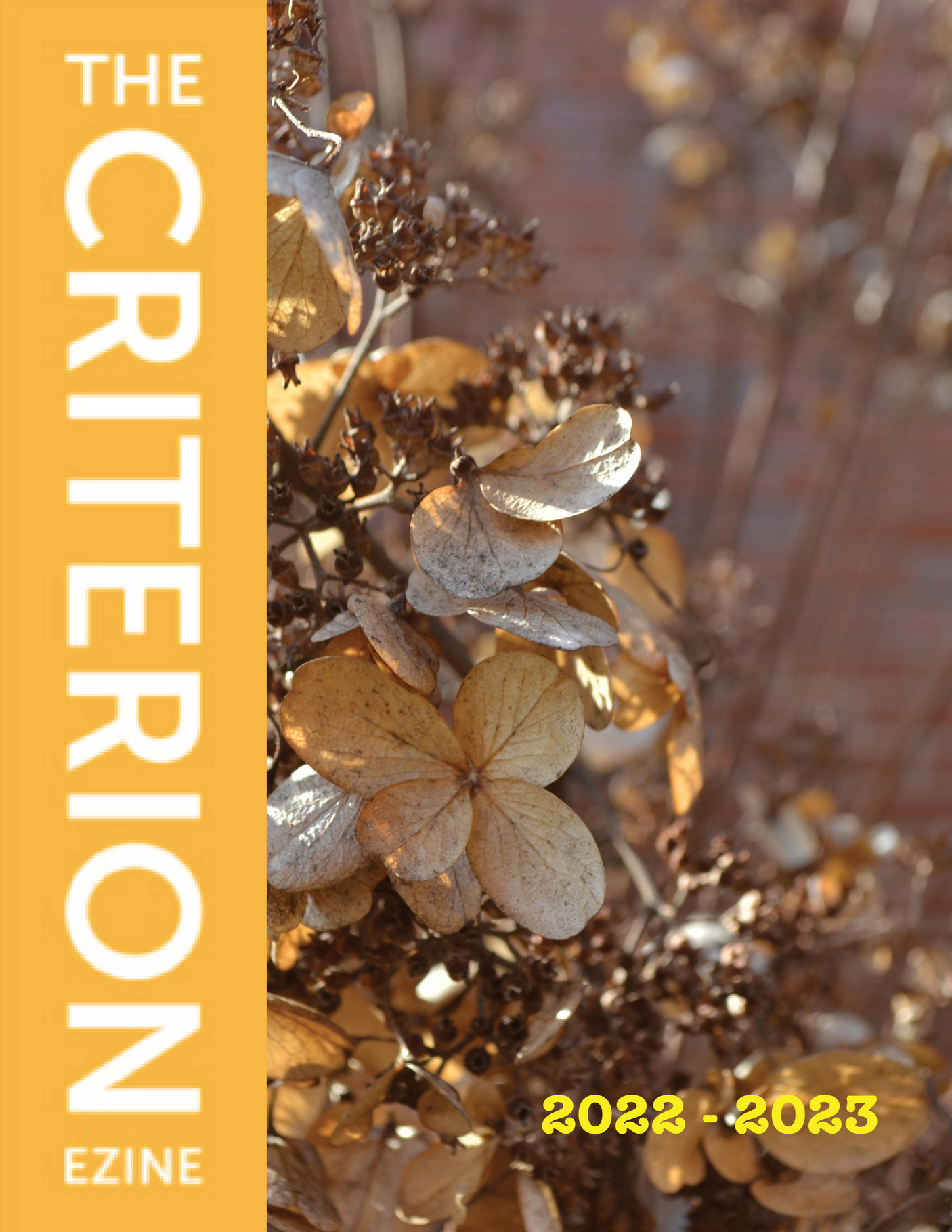 American International College - The Criterion - Spring 2023 - Page 1 American International College - The Criterion - Spring 2023 - Page 1