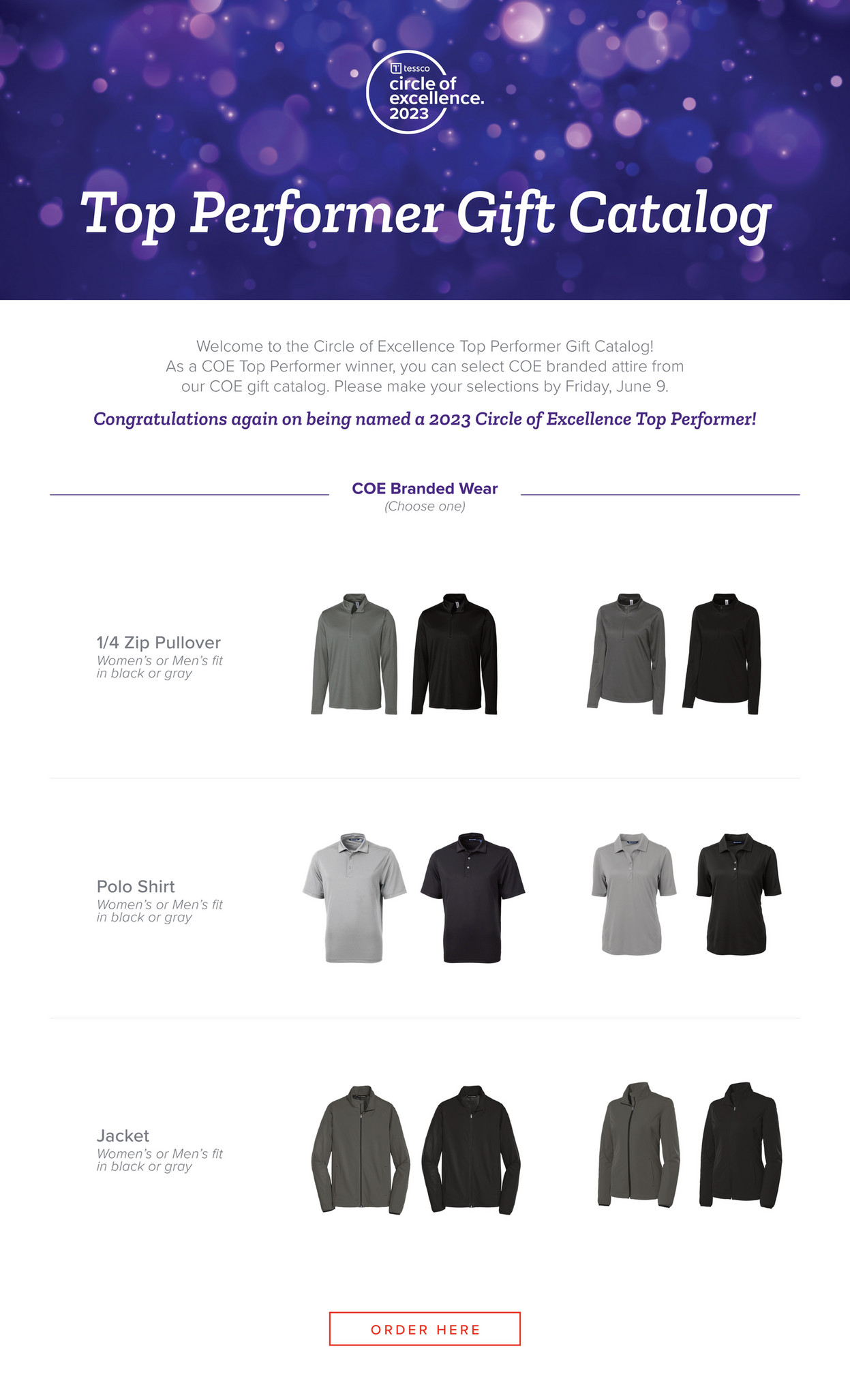 Tessco Technologies - COE 2023 Winner Gift Selection - Top Performers ...