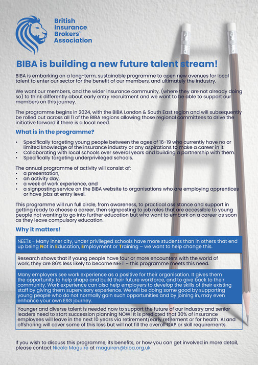 BIBA - Young Talent Programme - one pager explainer - Page 1