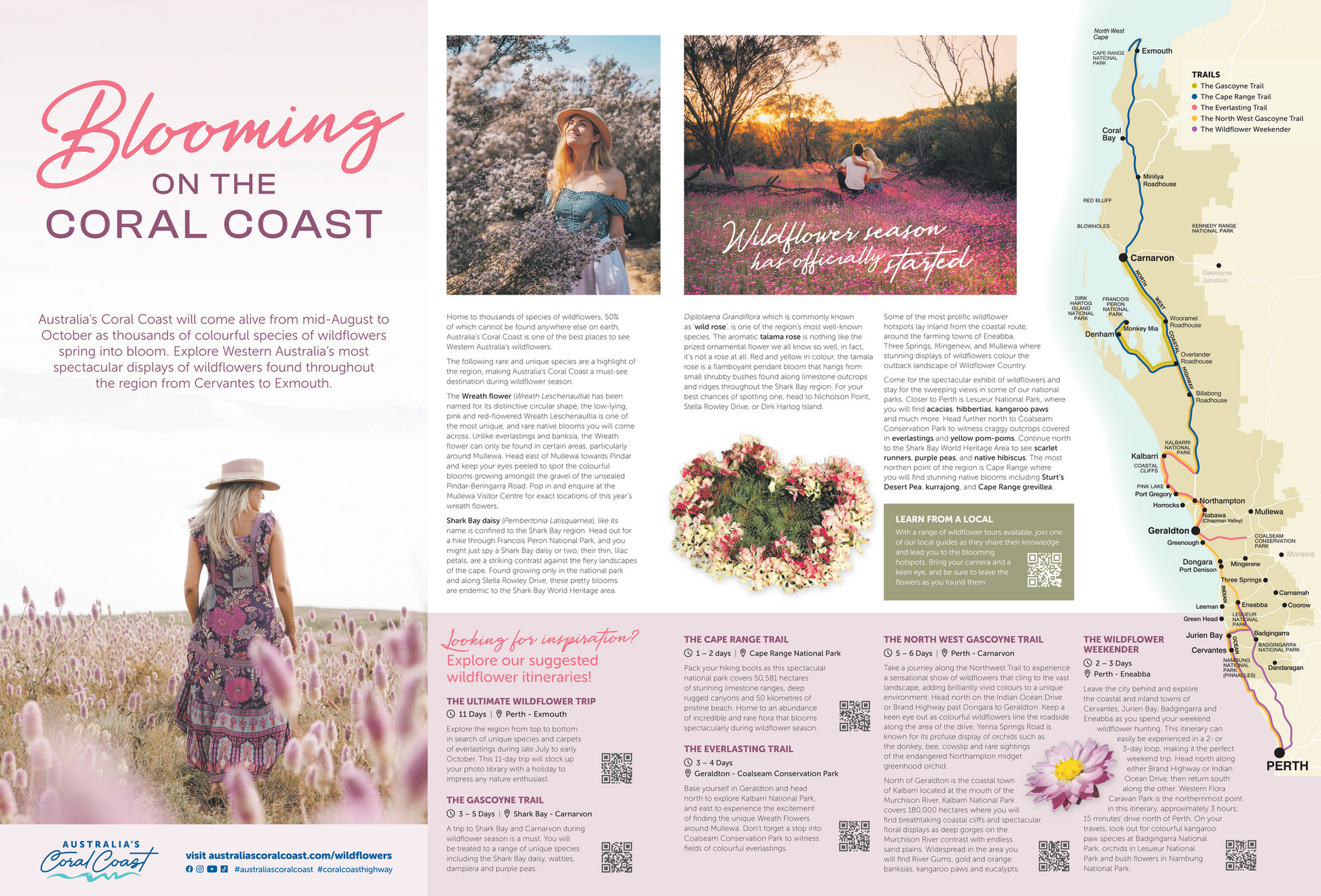 Australia's Coral Coast - Western Australia's Coral Coast Wildflower ...