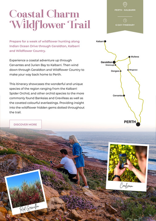 Australia's Coral Coast - In Bloom on the Coral Coast - Wildflower ...