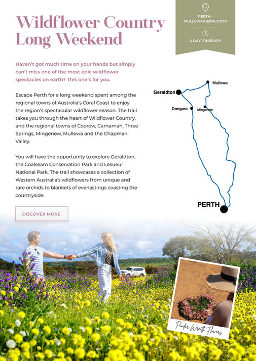 Australia's Coral Coast - In Bloom on the Coral Coast - Wildflower ...