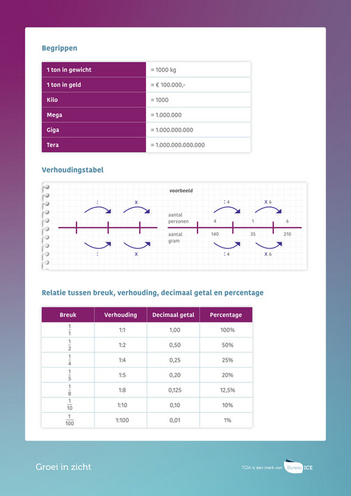 TOA Rekenkaart - nieuwe rekeneisen mbo - Pagina 2