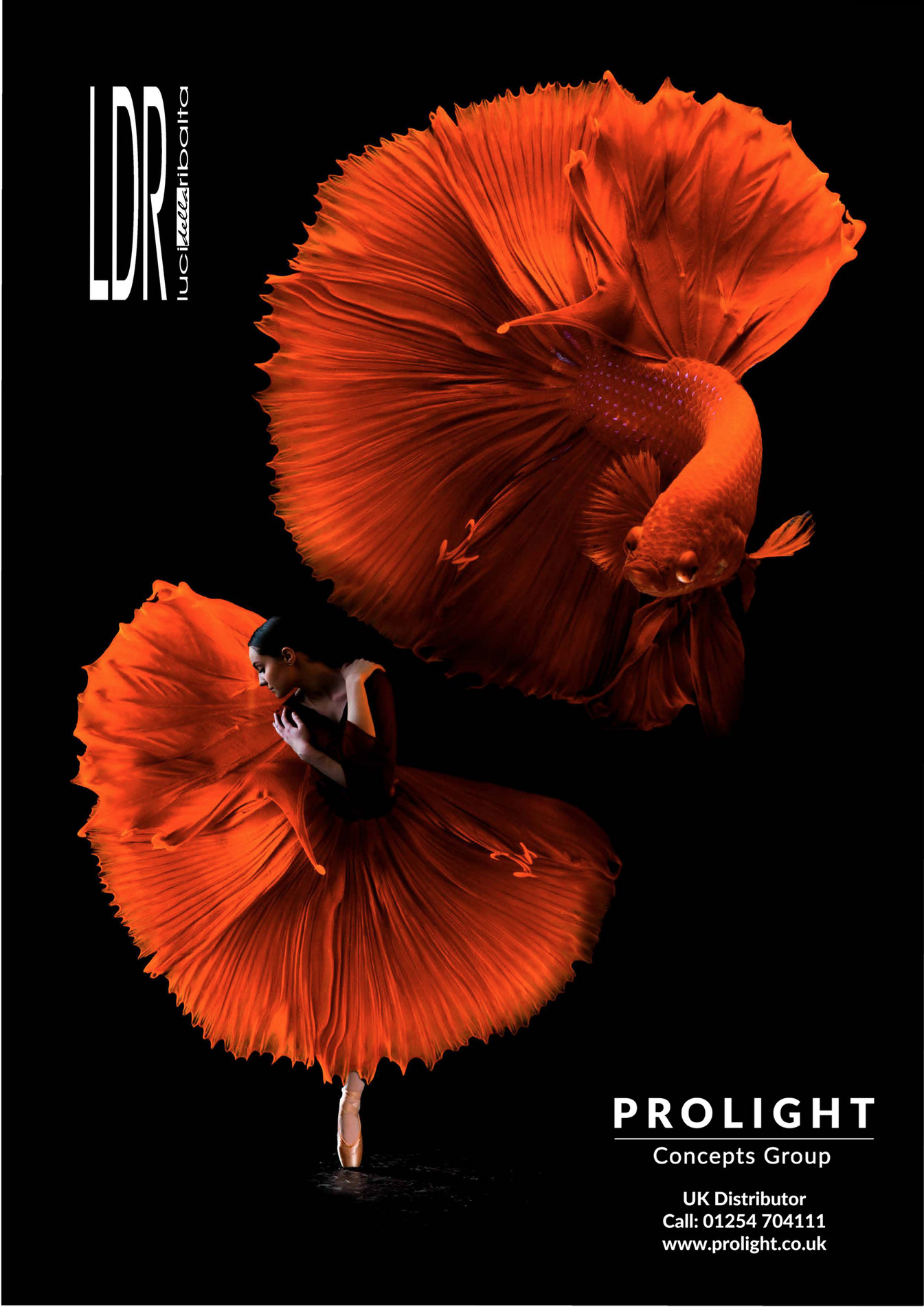 Prolight Concepts Group Ltd - LDR Catalogue 2021 - Page 1 Prolight Concepts Group Ltd - LDR Catalogue 2021 - Page 1