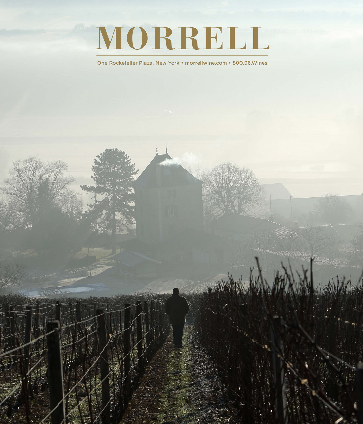 Morrell Wine - Morrell Fall Holiday 2020 Catalog - Page 1