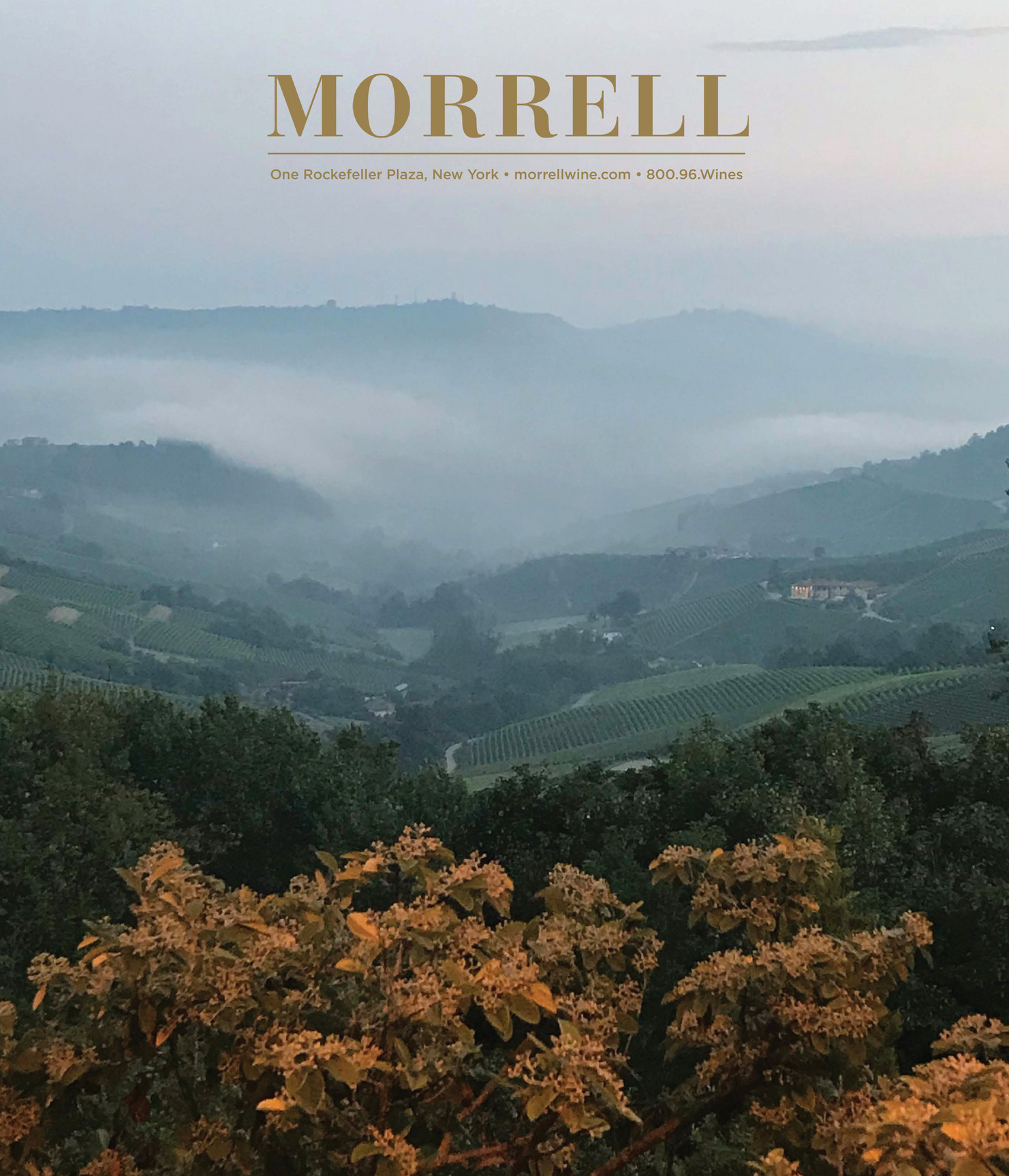 Morrell Wine - Morrell Fall Holiday Catalog 2021 - Page 1