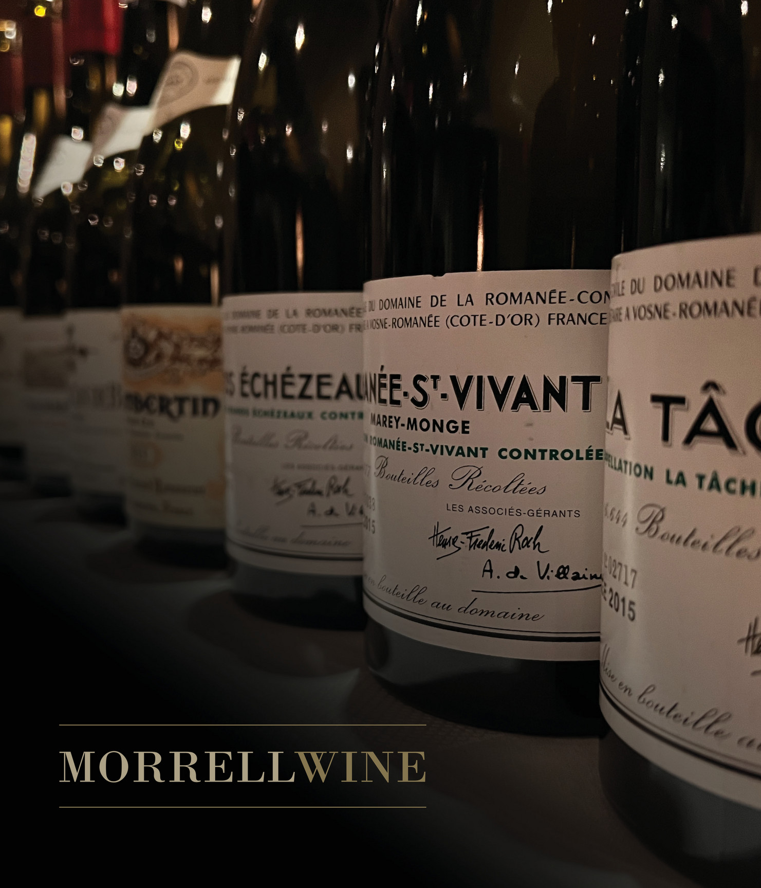 Morrell Wine - MorrellCatalog2023 - Page 1