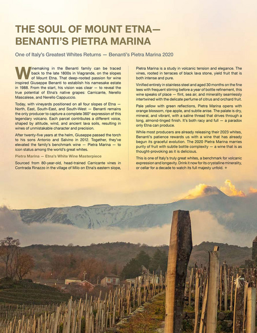 Morrell Wine - Morrell Catalog 2025 - Page 120-121