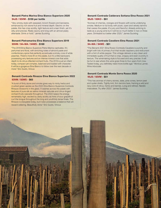 Morrell Wine - Morrell Catalog 2025 - Page 120-121