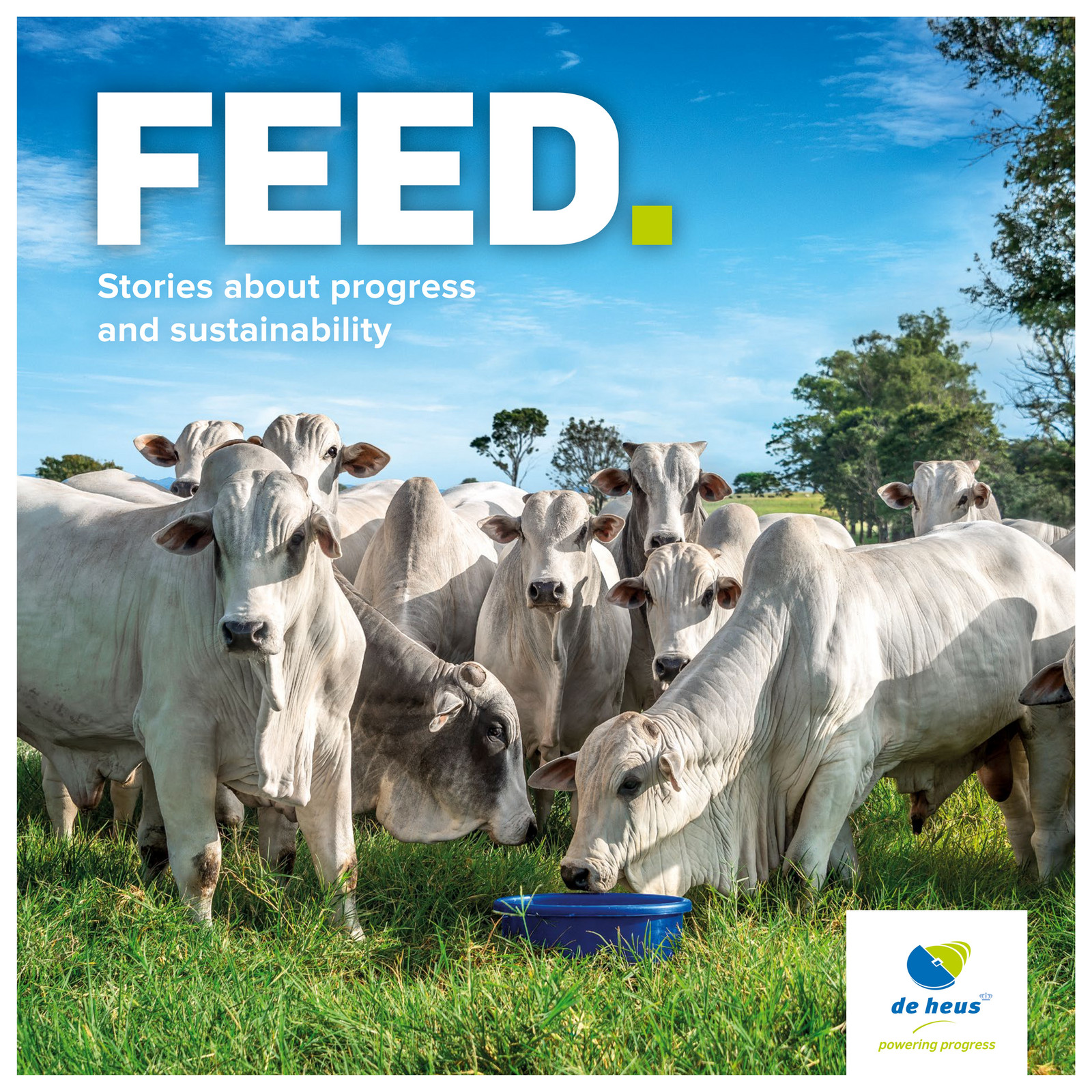 De Heus - GL 2022 - FEED. Responsible Feeding Magazine - Page 1