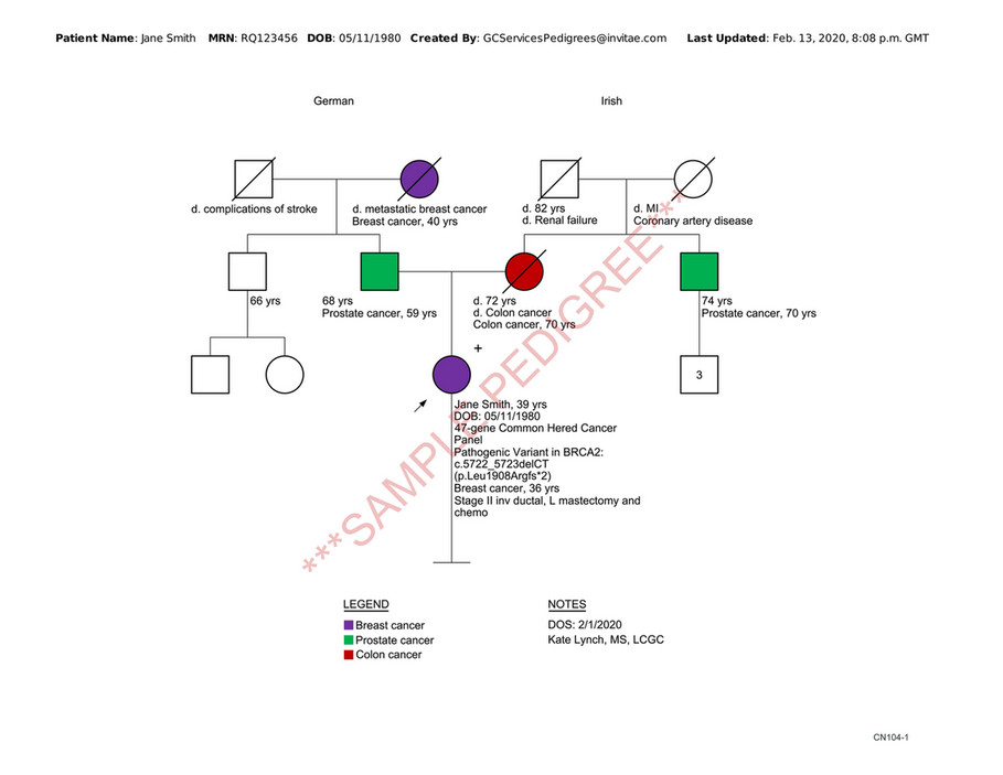 Invitae - CN104 Sample Cancer Pedigree BRCA2 POS - Page 1