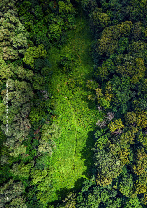 The Tenure Facility - 21-0009_TTF_MEL_guide_eng_printable - Page 12-13