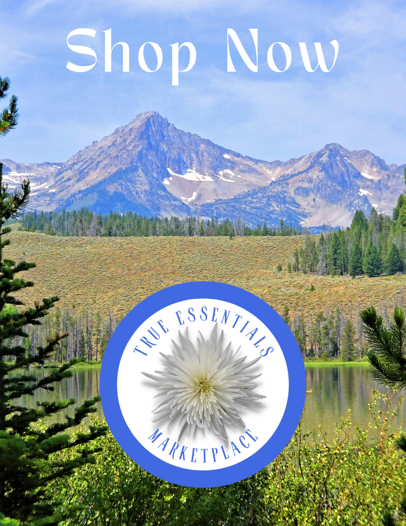 FE - True Essentials Marketplace - Page 1