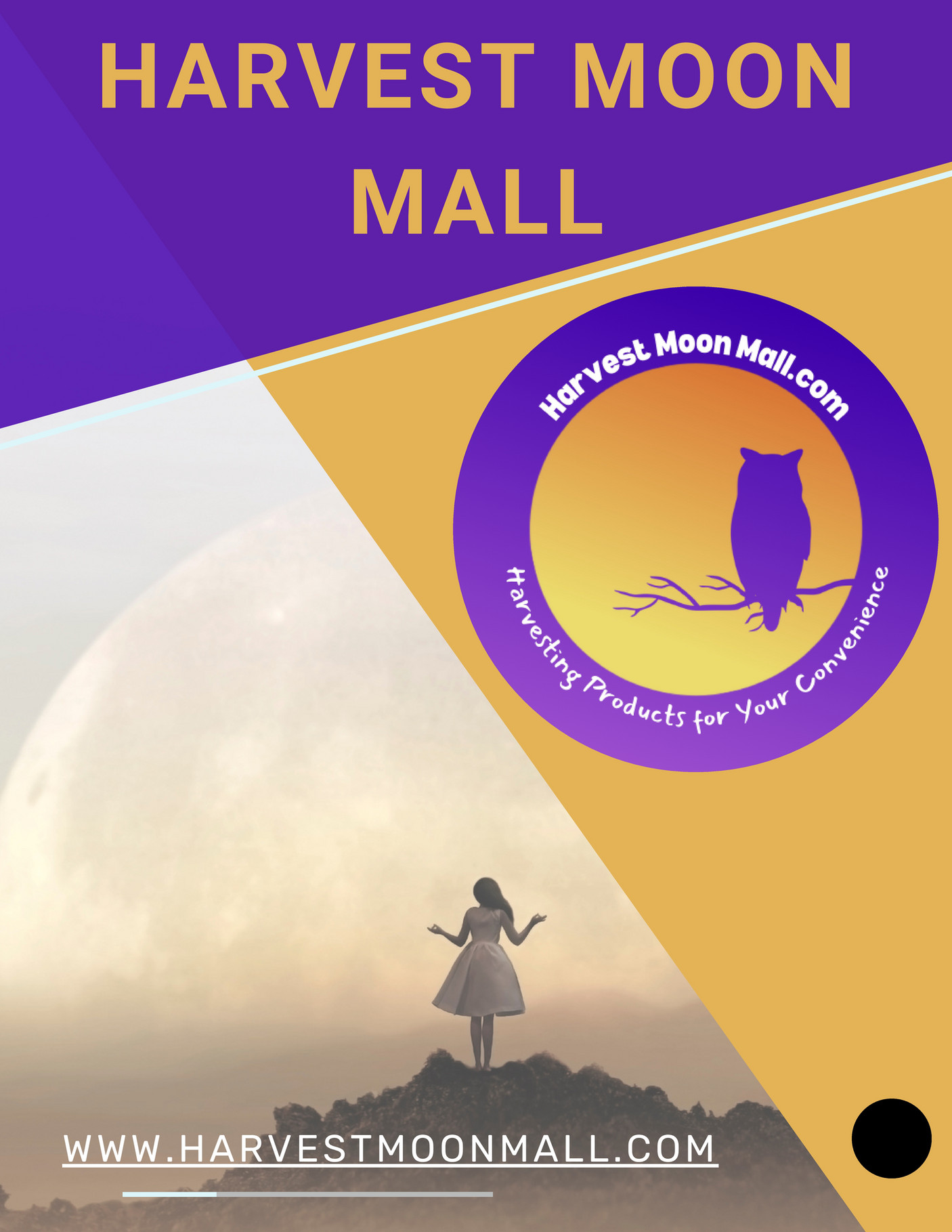 FE - Harvest Moon Mall - Page 1