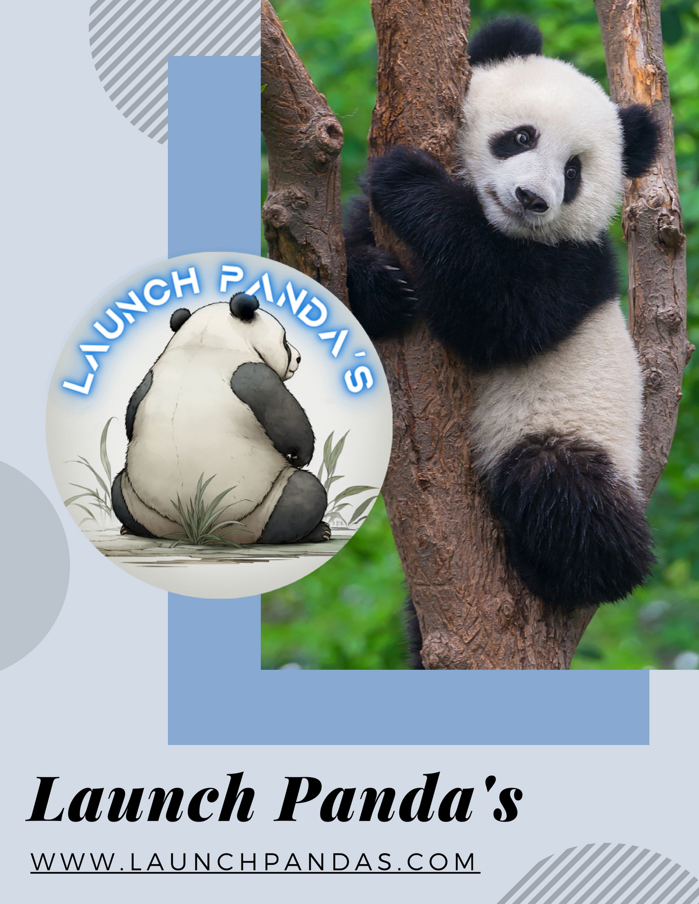FE - Launch Panda's - Page 1