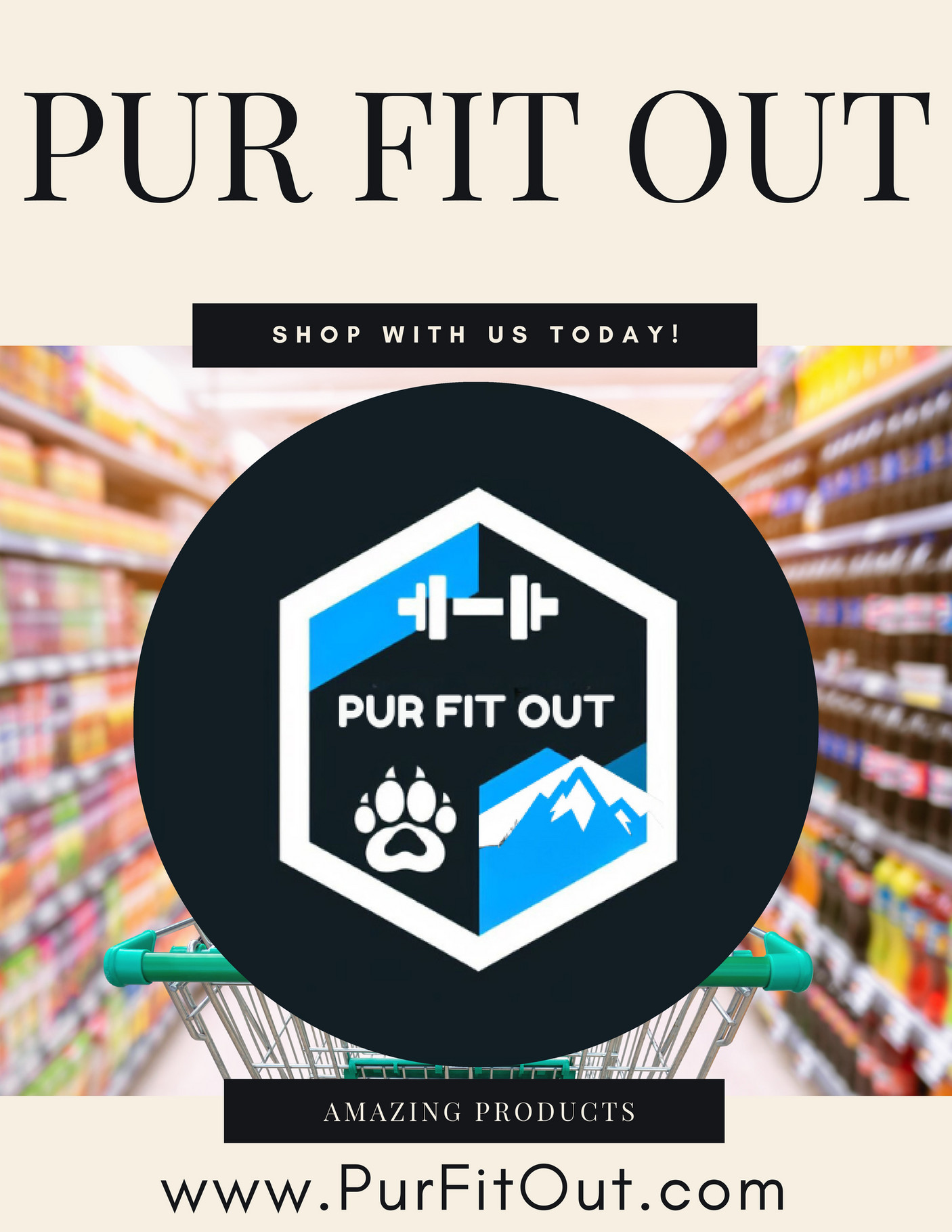 FE - Pur Fit Out - Page 1