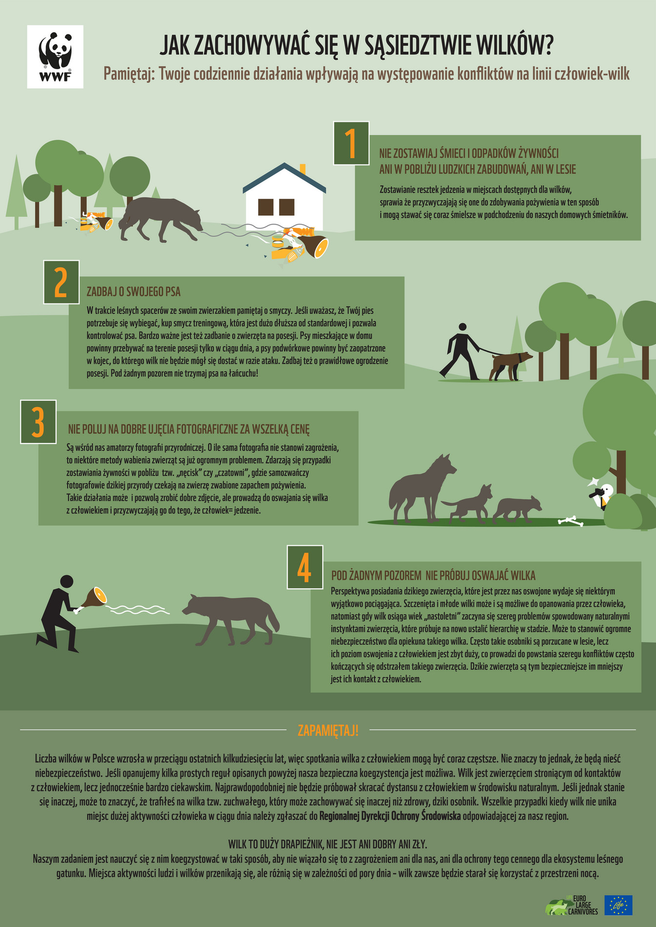 WWF Poland - WWF Infografika - wilk - Strona 1