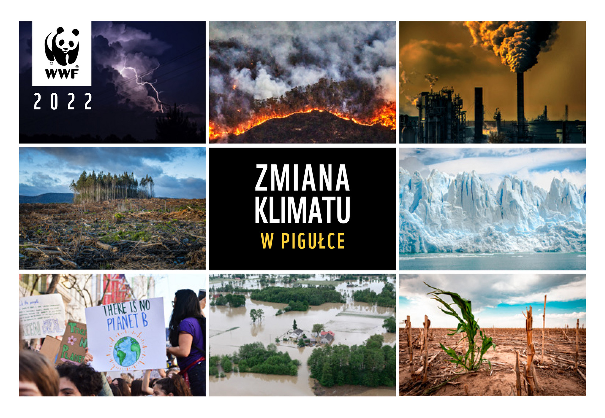 WWF Poland - PIGULKA KLIMATYCZNA 2022 - Strona 1