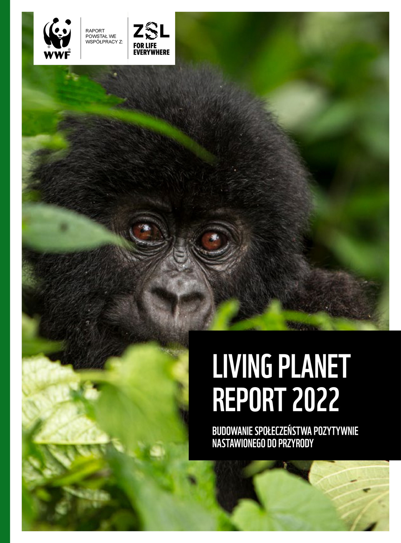 Wwf Poland Living Planet Report 2022 Media Brefing Strona 1