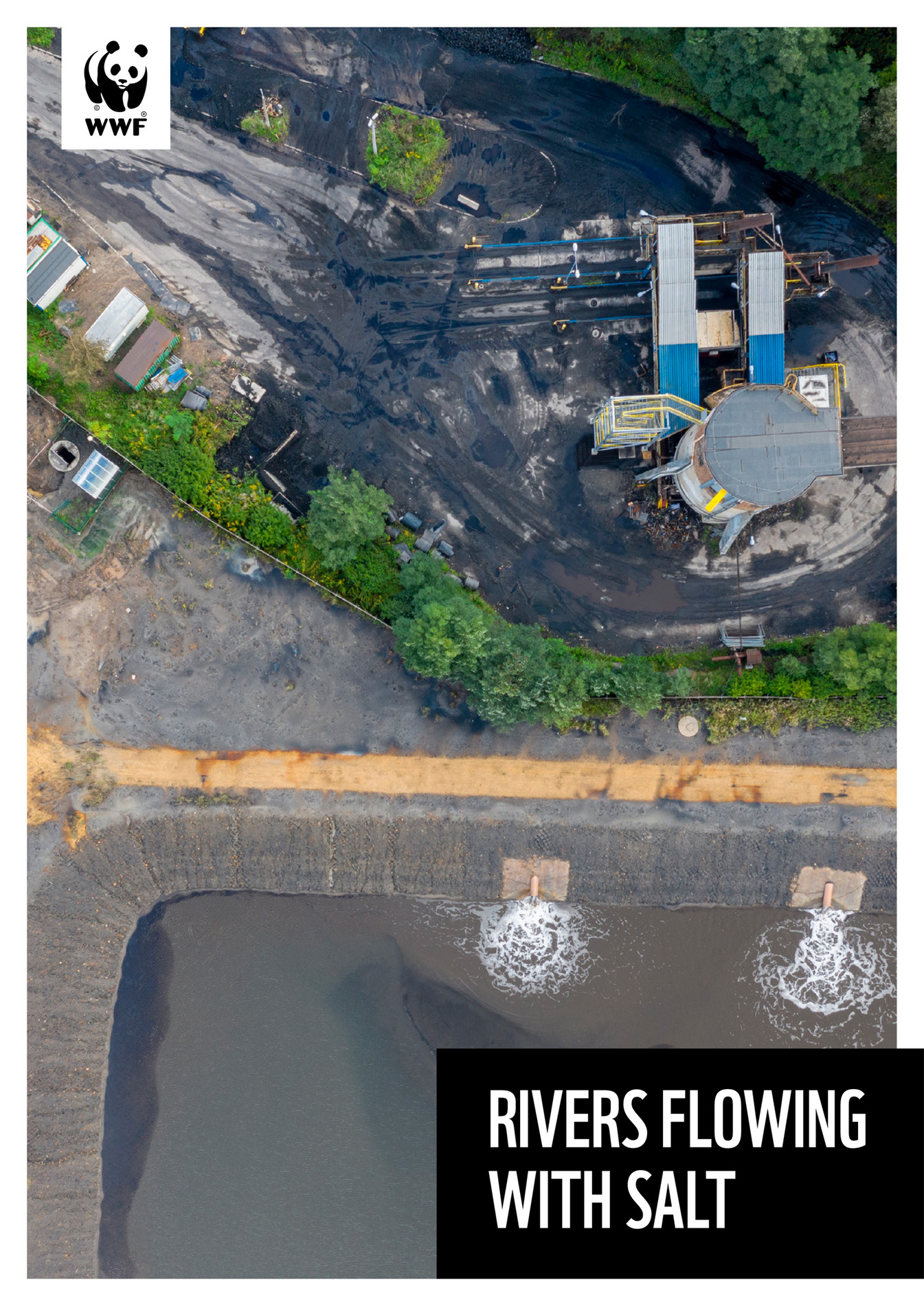 WWF Poland - Raport RIVERS FLOWING WITH SALT 2023 - Strona 1