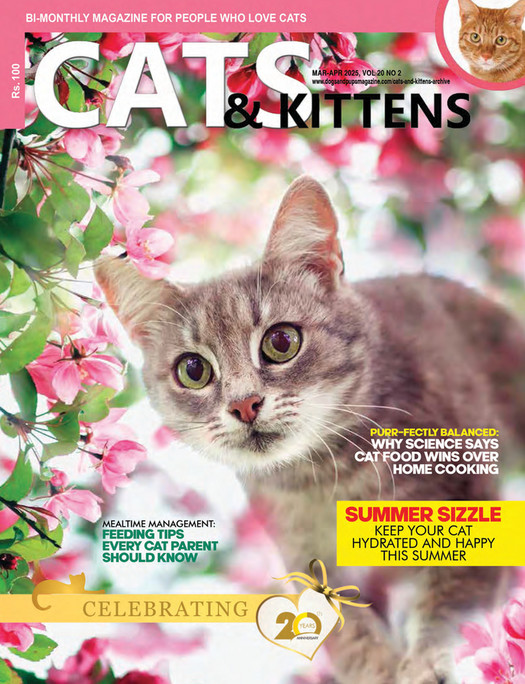 Magazine - 125 Issue- Cats & Kittens -March-April 2025 - Page 1