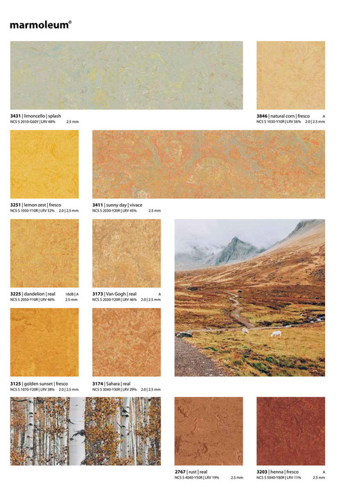 Forbo Flooring NL Stalenboek | Marmoleum Marbled - Pagina 14-15