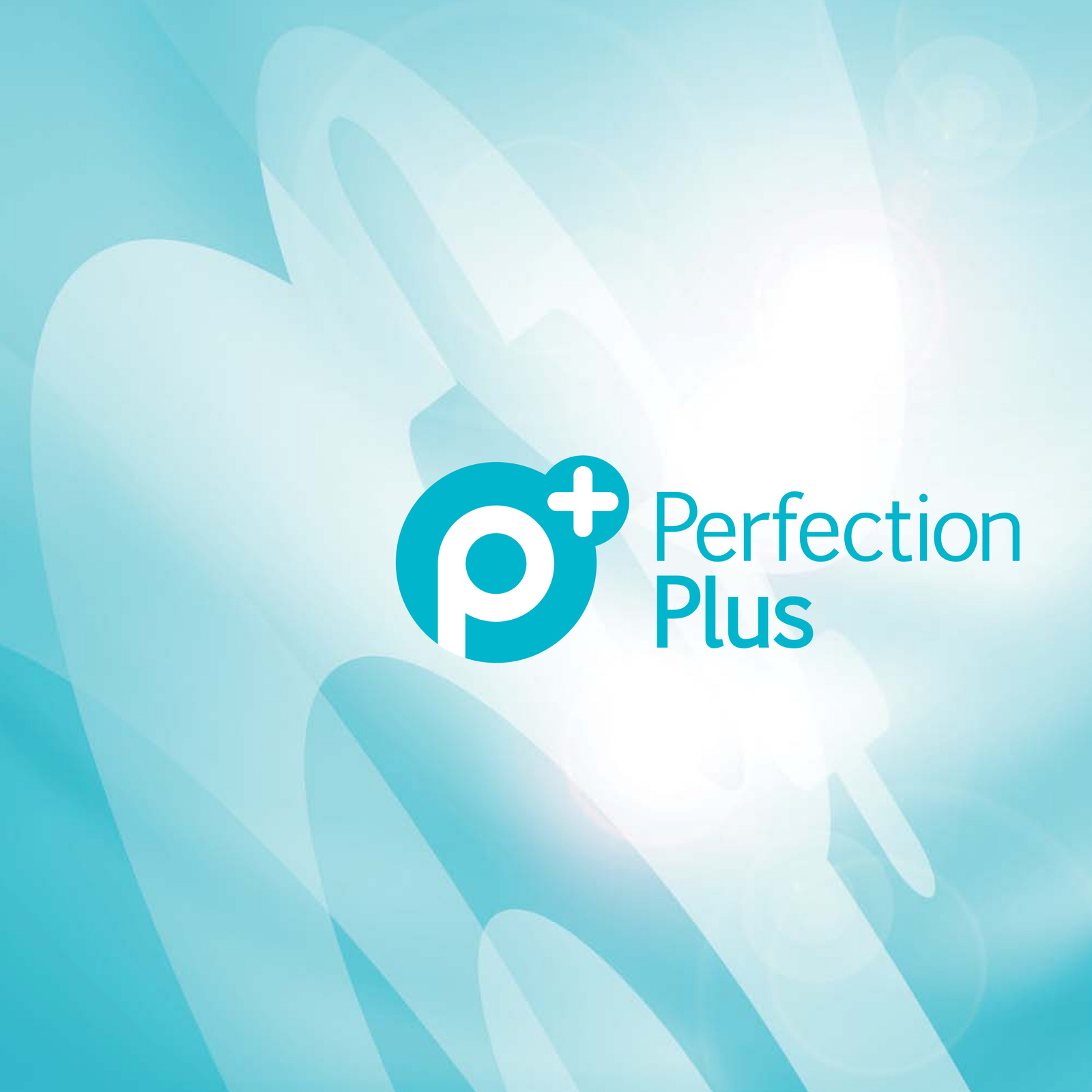 My publications - Perfection Plus Catalogue 2015 - Page 1 - Created ...