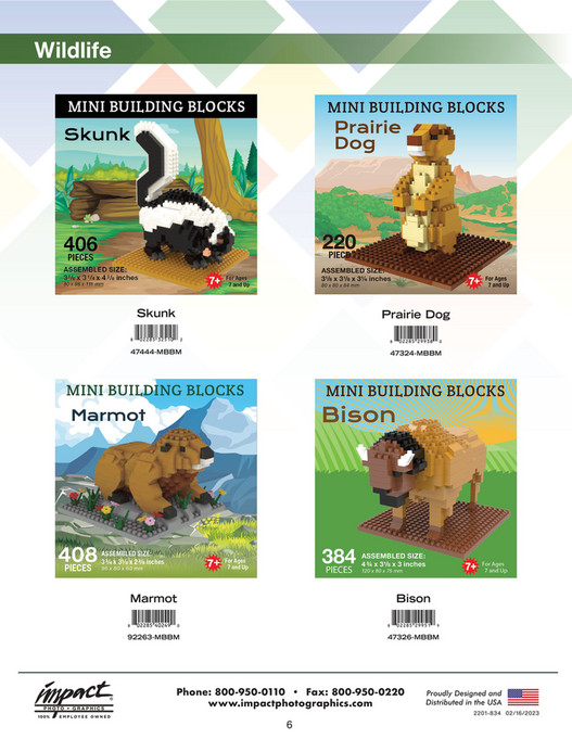 Philip David Company - Impact-Photographics-Building-Mini-Blocks ...