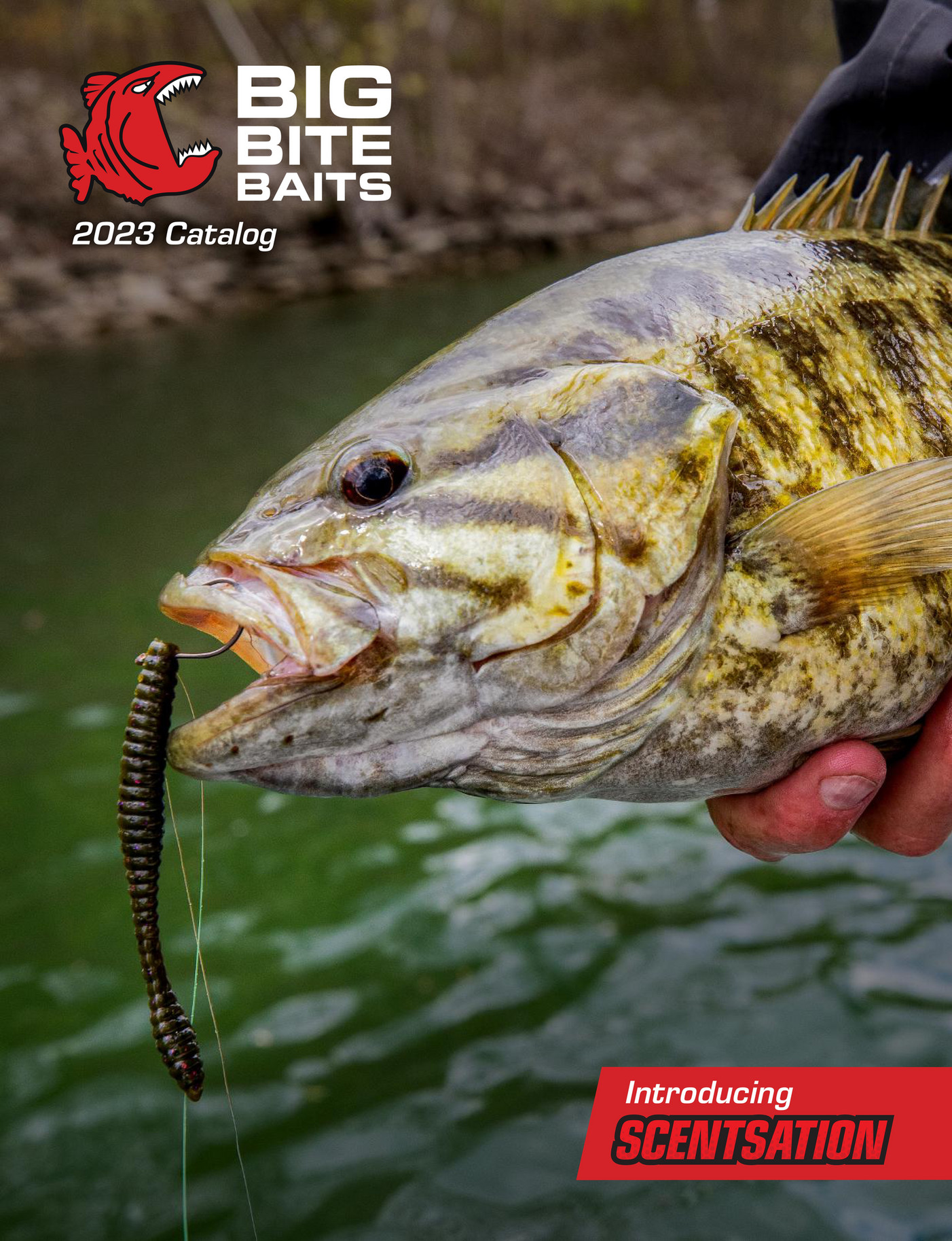 Doiron Sports Excellence - Big Bite Baits Catalog 2023 web - Page 1