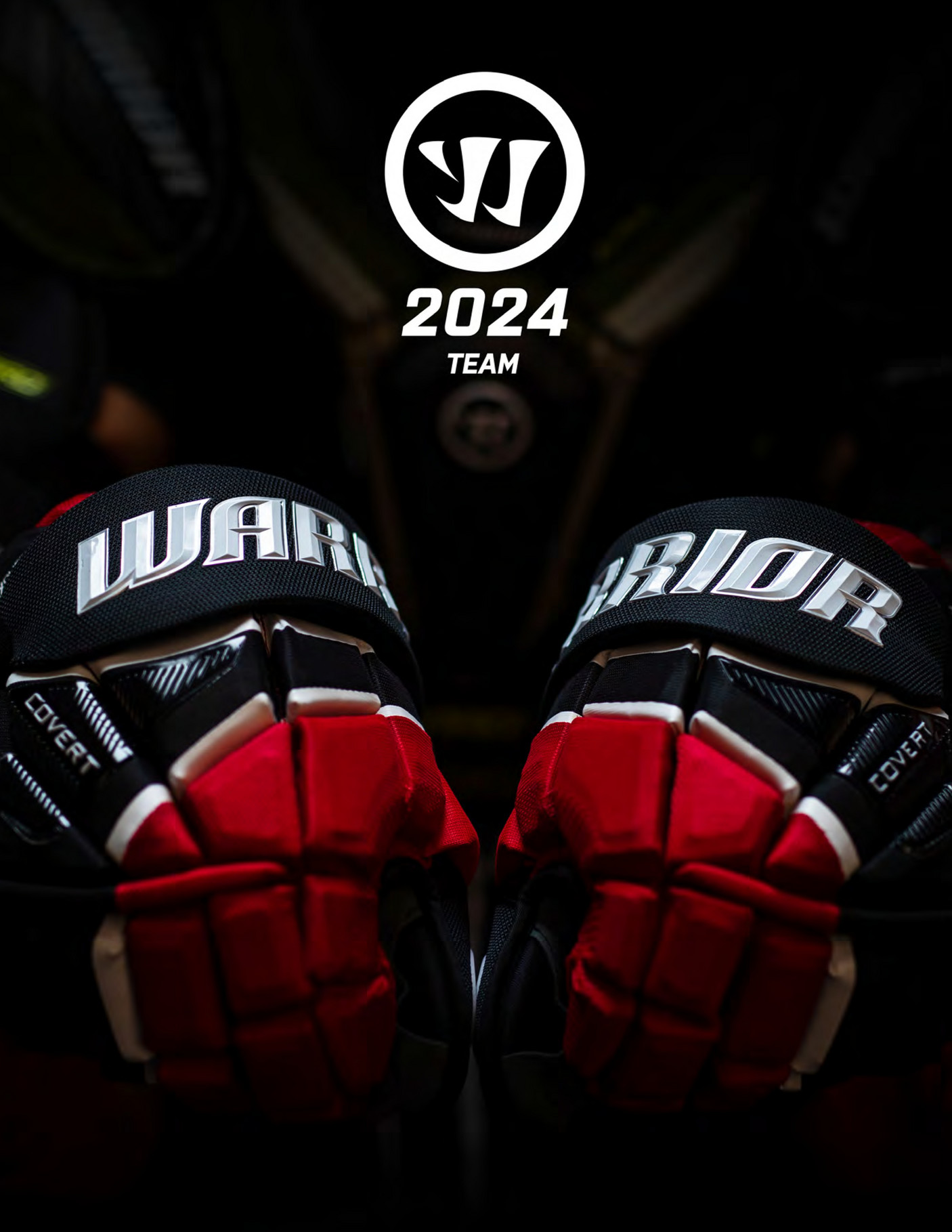 Doiron Sports Excellence - 2024 Warrior Team Catalog - Page 2