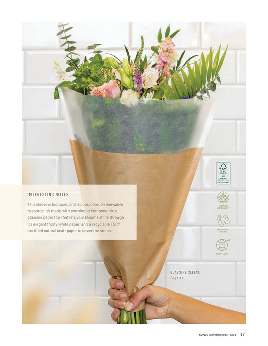 Decowraps - Full Packaging Collection 2022 - Page 16-17