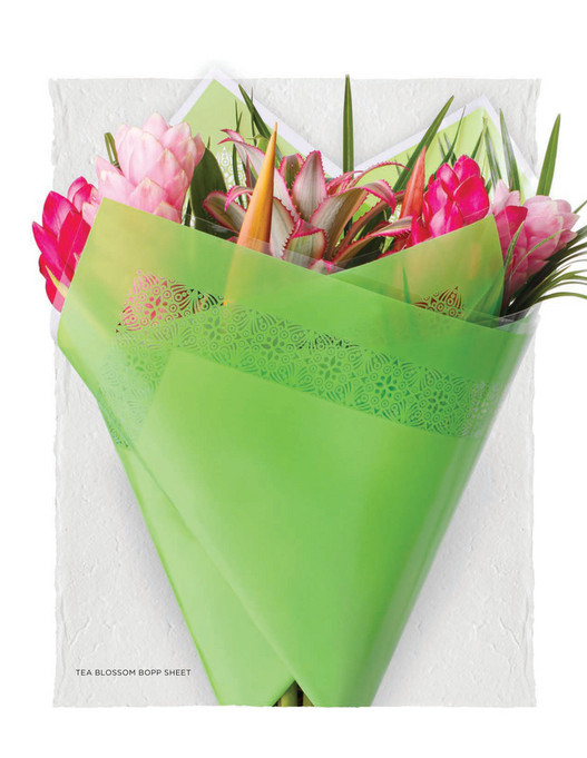 Decowraps - Full Packaging Collection 2021 - Page 80-81