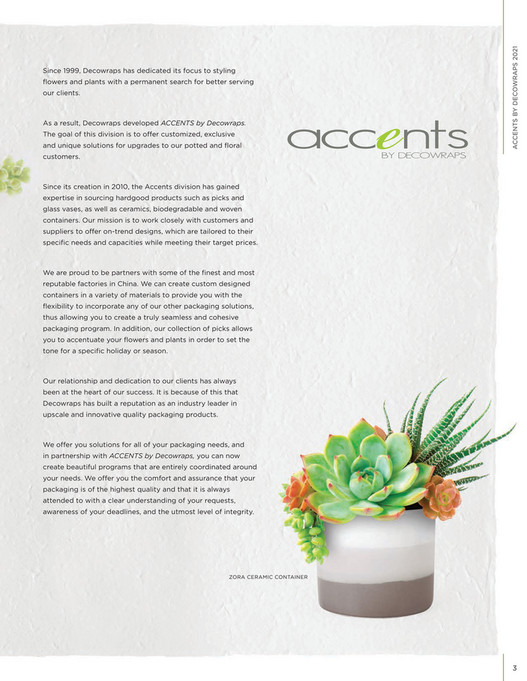Decowraps - Full Packaging Collection 2021 - Page 4-5