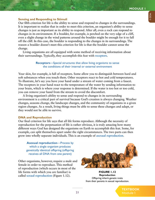 Apologia Educational Ministries - Exploring Creation with Biology, 3rd ...