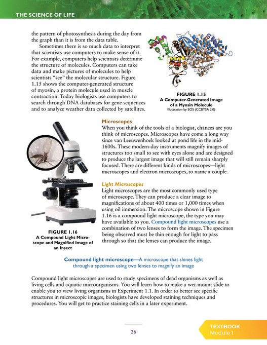 Apologia Educational Ministries - Exploring Creation with Biology, 3rd ...
