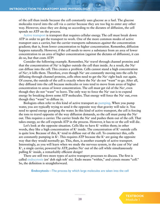 Apologia Educational Ministries - Exploring Creation with Advanced ...