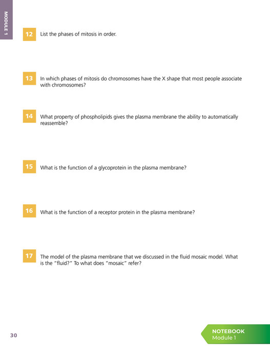 Apologia Educational Ministries - Exploring Creation with Advanced ...