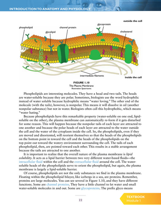 Apologia Educational Ministries - Exploring Creation with Advanced ...
