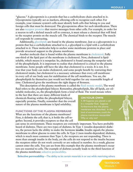 Apologia Educational Ministries - Exploring Creation with Advanced ...