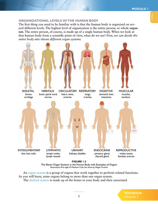 Apologia Educational Ministries - Exploring Creation with Advanced ...