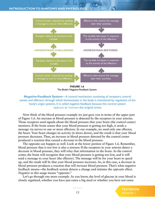 Apologia Educational Ministries - Exploring Creation with Advanced ...