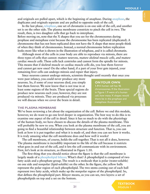 Apologia Educational Ministries - Exploring Creation with Advanced ...