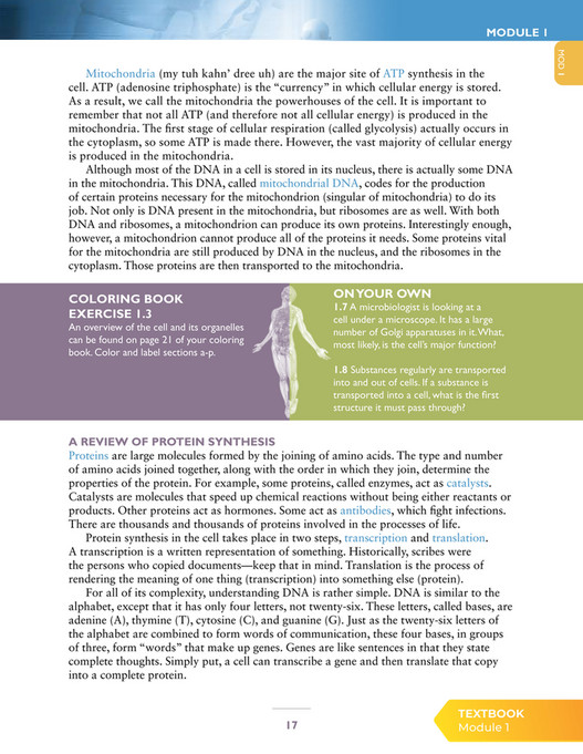 Apologia Educational Ministries - Exploring Creation with Advanced ...