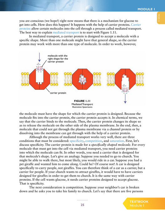 Apologia Educational Ministries - Exploring Creation with Advanced ...